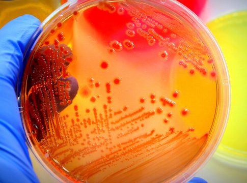 Scabs, scars and better wound healing | Nursing Review...